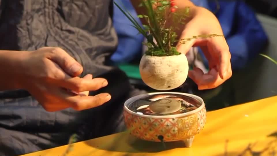 Bonsai Trees 'Float' Using Magnetic Levitation | Technology | The ...