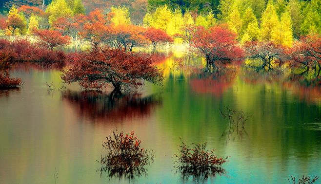 Entice the Senses with Nikko's Spectacular Autumn Colors | Business ...