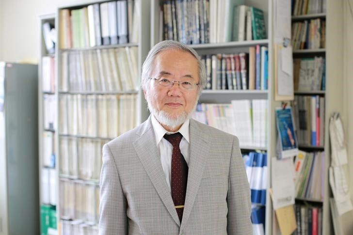 Japanese scientist wins Nobel medicine prize for work on "self-eating ...